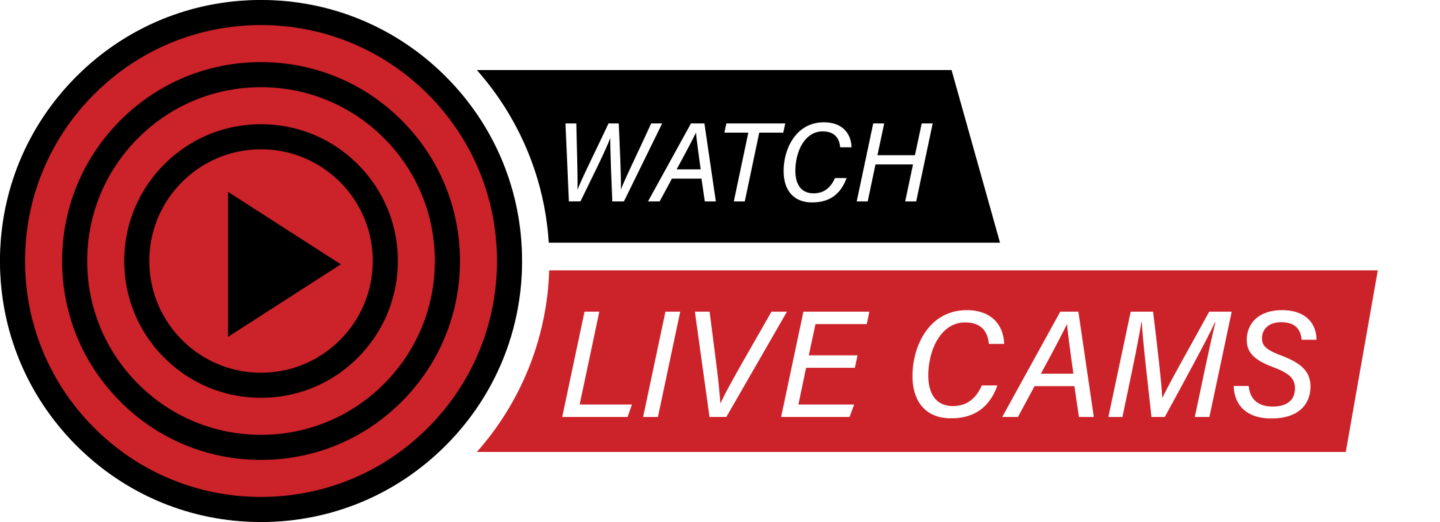 Security Camera for Farms & Ranches